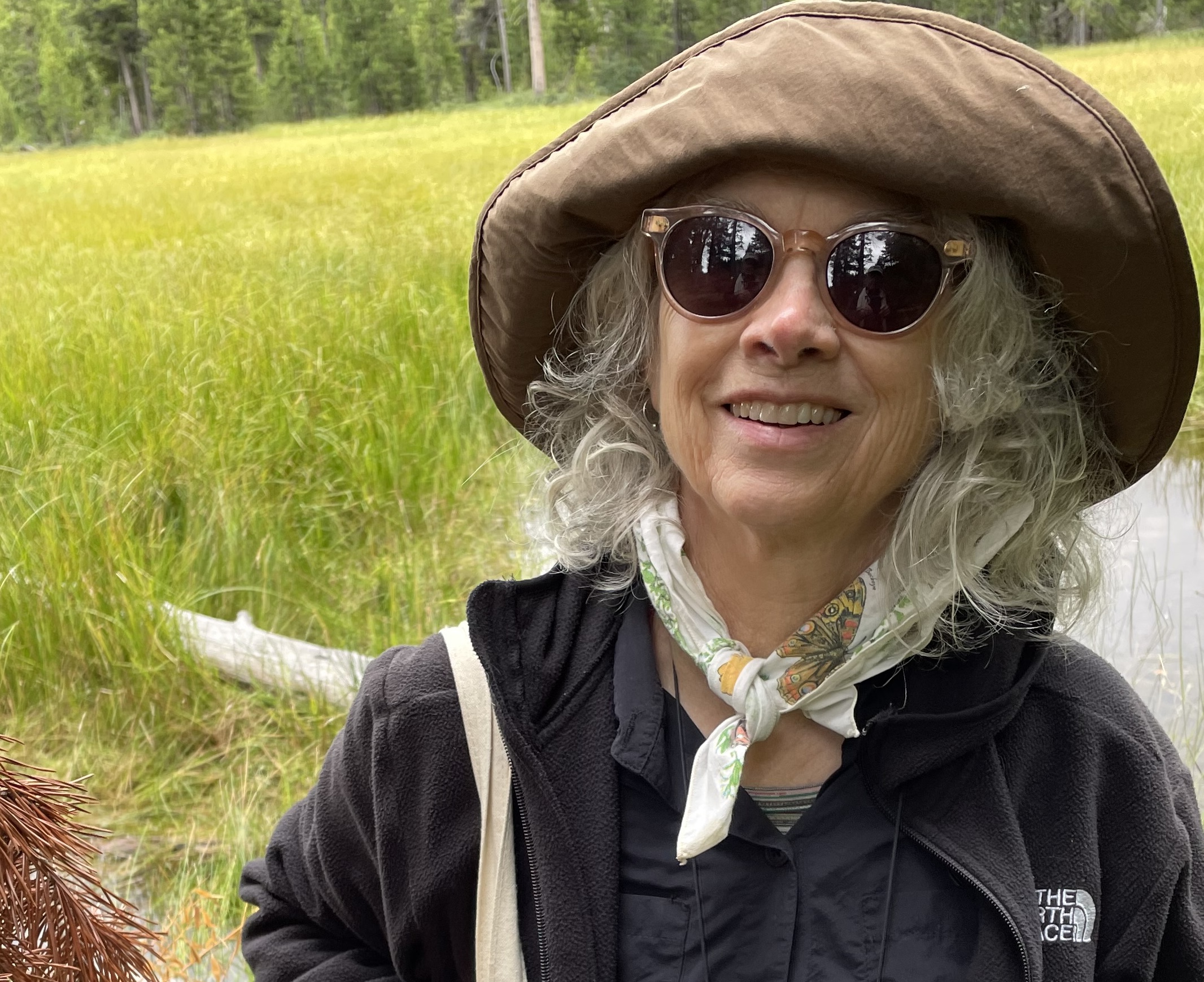 S5:E34 Brenda Hillman & Roxi Power talk about Hillman’s New Book – The ...